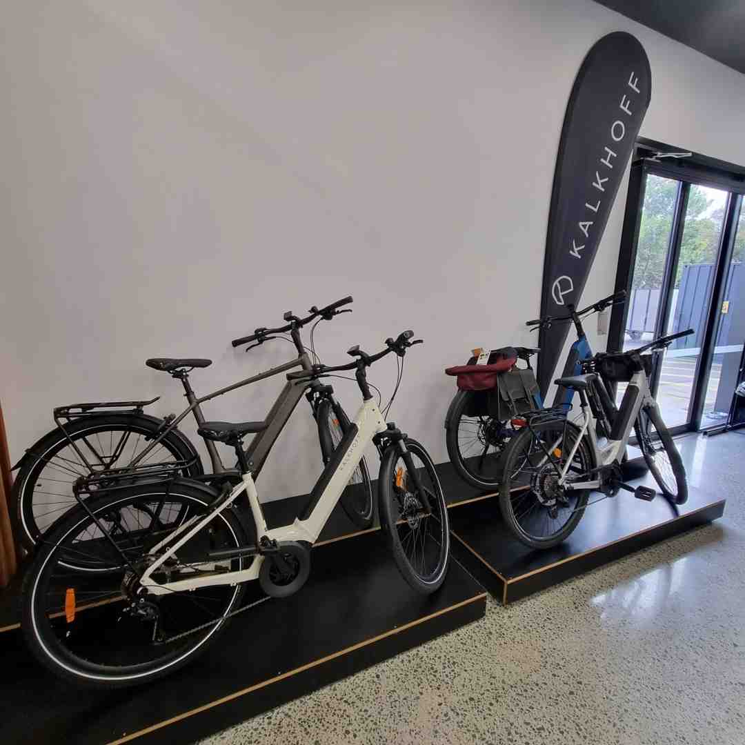 Keep Your Electric Trike Rolling: Essential Servicing Tips – EveryBody ...