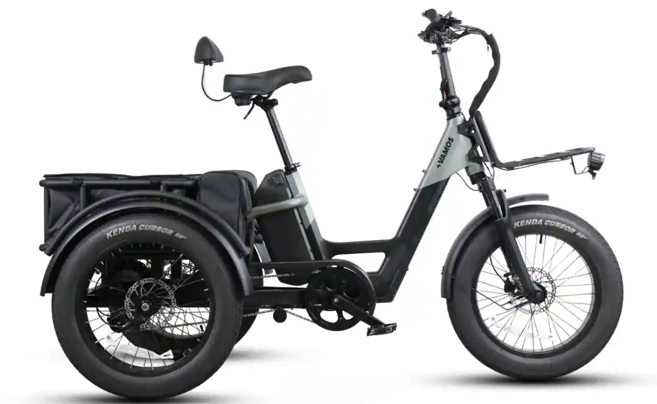Vamos Papa Grande Pro 2024: Ultimate Champion – EveryBody eBikes