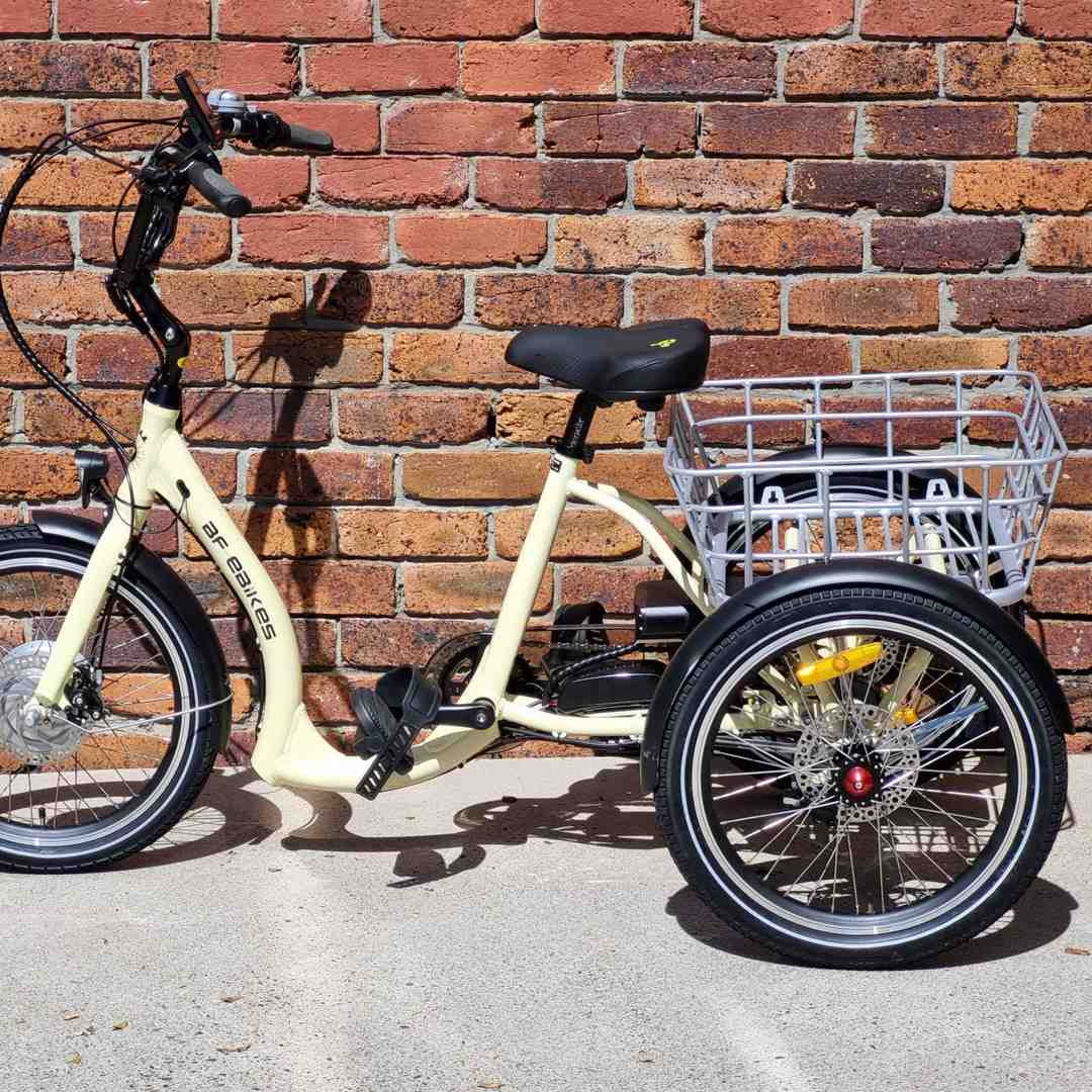Electric Trike Buying Guide 2026: Ultimate Joy – EveryBody eBikes