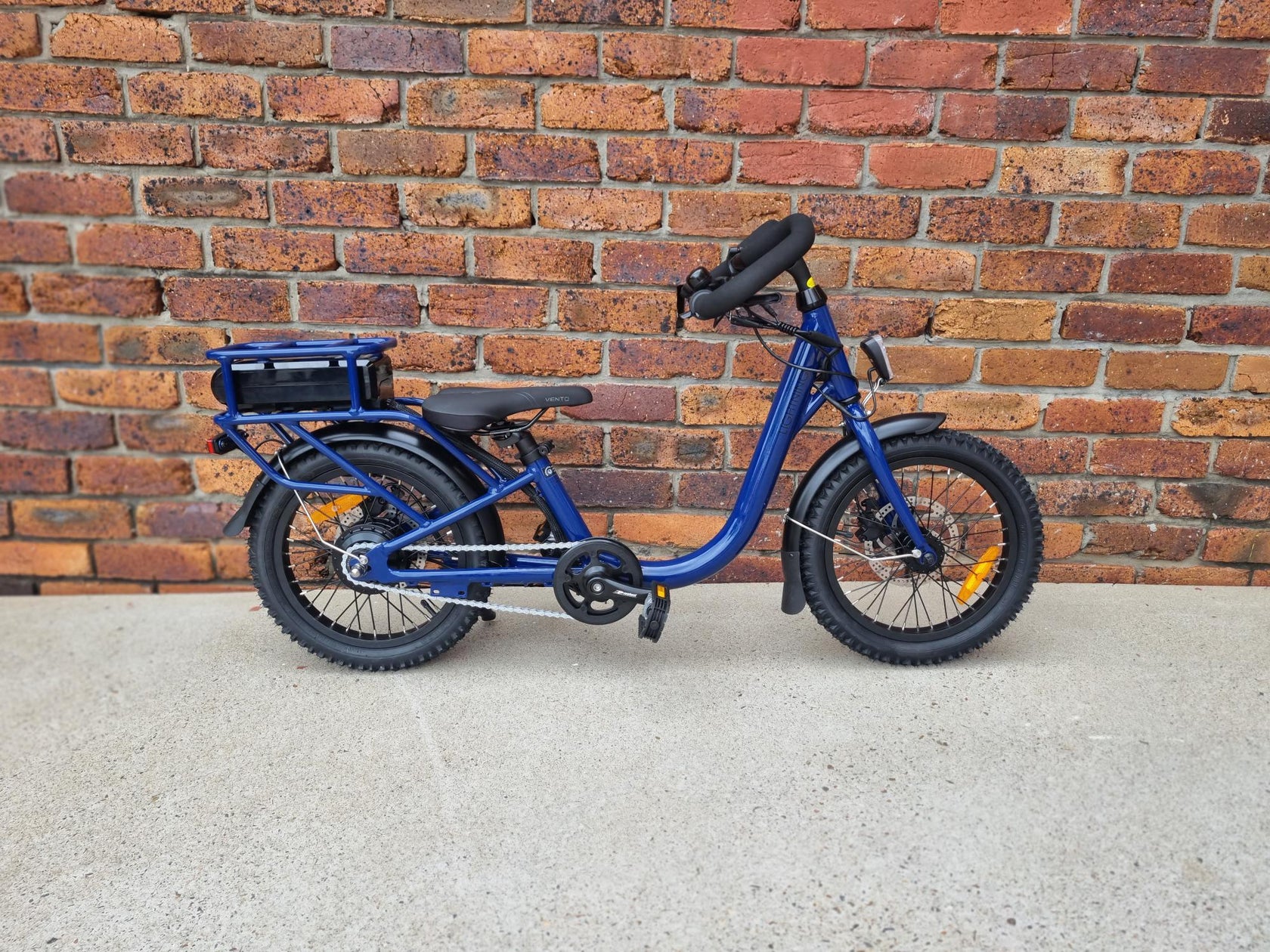Adaptive Trikes and the NDIS | EveryBody eBikes