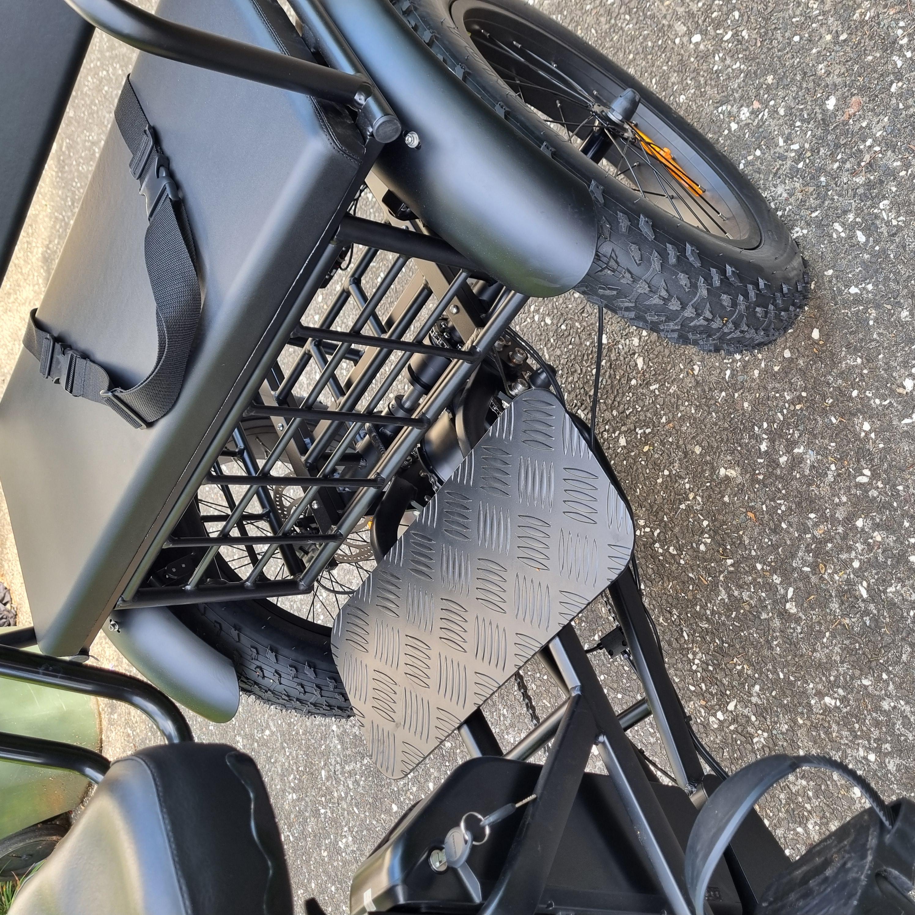 BF Trojan Family | Electric Trike – EveryBody eBikes