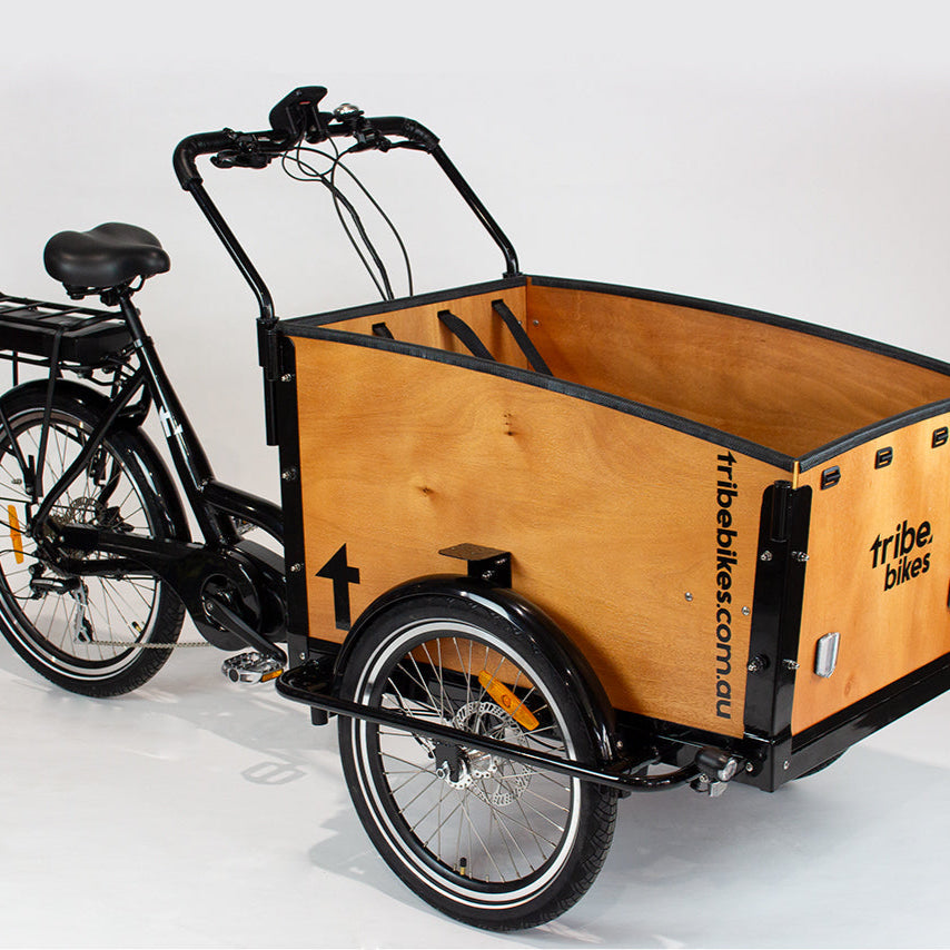Tandem & Side By Side Electric Trikes | EveryBody eBikes